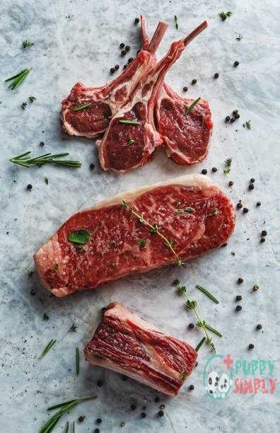Best Meats for Dogs Find Proper Protein Sources 2024