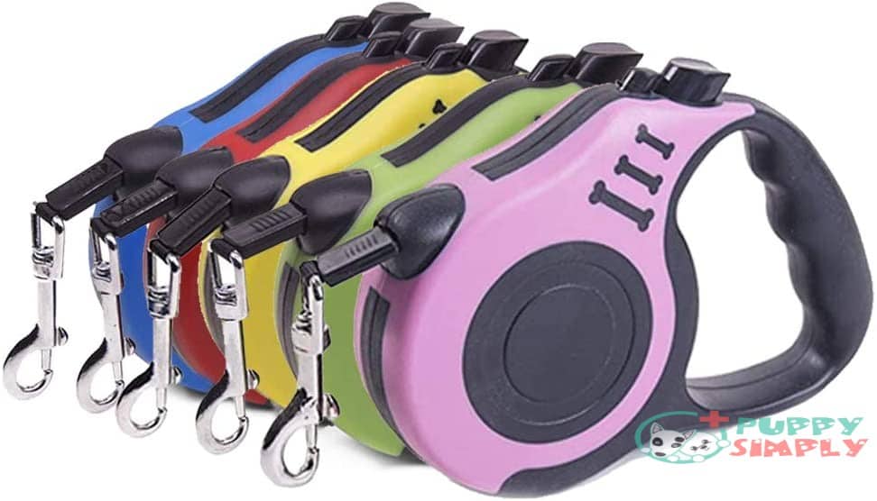 Best Retractable Dog Leashes: Top 11 Picks for Safety and Durability