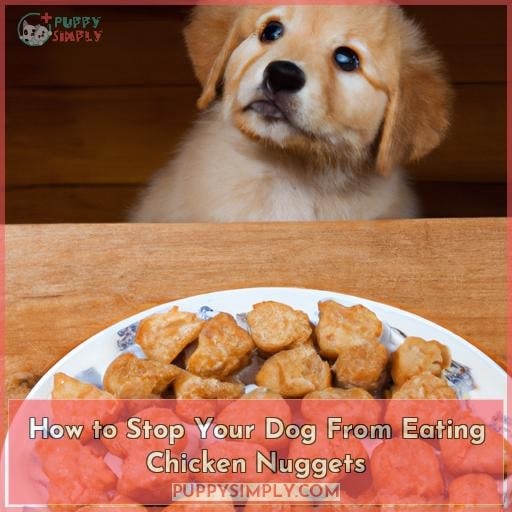 Can Dogs Eat Chicken Nuggets From McDonald's? Safety Facts You Need to Know