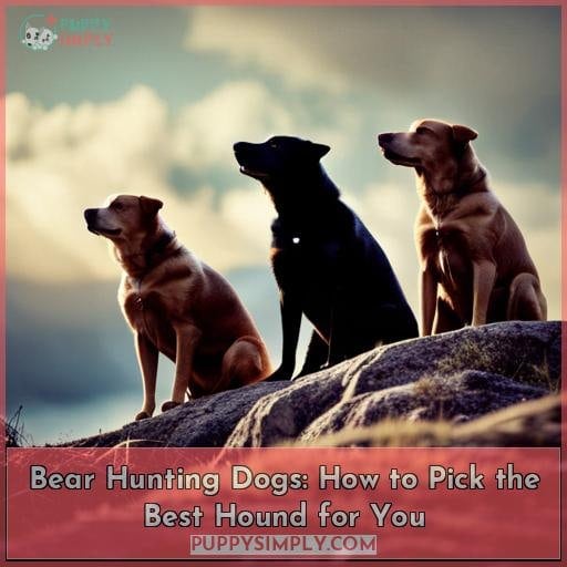 Bear Hunting Dogs: the Ultimate Guide to Picking, Training, and Gearing Up