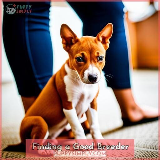 Basenji Price: Revealing the Costs of Owning the Barkless Wonder Dog