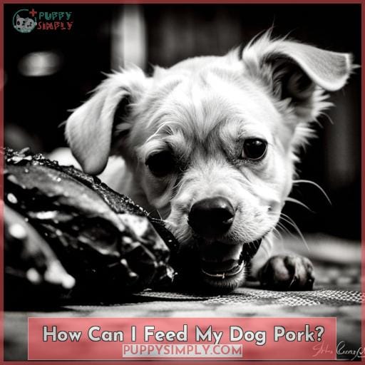 Can Dogs Eat Pork Rib Meat? Tips for Feeding Your Dog Pork Safely