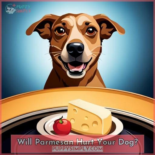 Can Dogs Eat Parmesan? Safety, Benefits & Side Effects