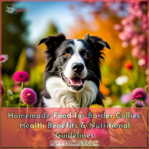 Homemade Food For Border Collies Health Benefits And Nutritional Guidelines
