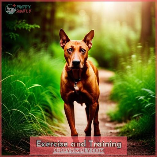 Pug Lab Mix: Pugador - the Playful Pup That Steals Hearts