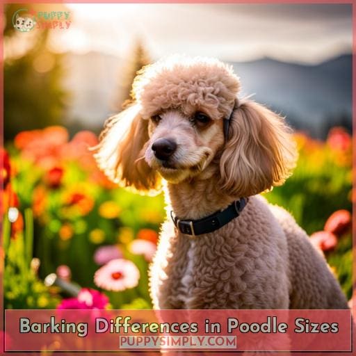 How Often Do Poodles Bark? Learn How to Reduce Excessive Barking