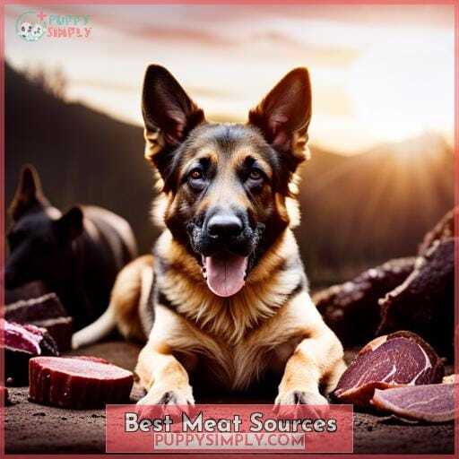 The Ultimate Guide to Safe Foods for German Shepherds