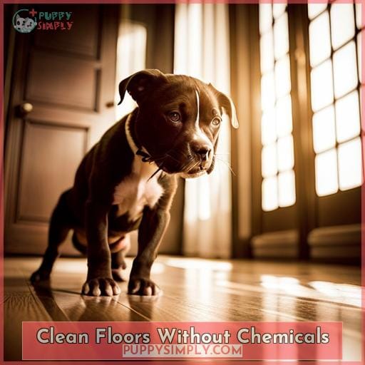 Pitbull Puppy Proofing Your Home: Non-Toxic Cleaning Tips for Pet Owners