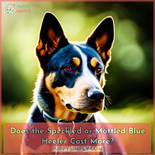When Do Blue Heeler Puppies Get Their Color? The Unexpected Truth