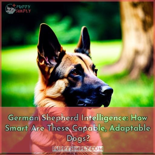 German Shepherd Intelligence: How Smart are these Capable, Adaptable Dogs?