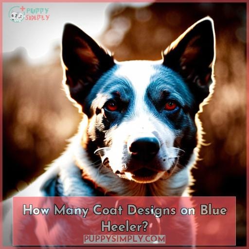 When Do Blue Heeler Puppies Get Their Color? The Unexpected Truth