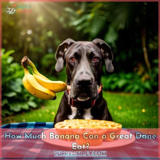 Can Great Danes Eat Bananas? Benefits and Serving Tips
