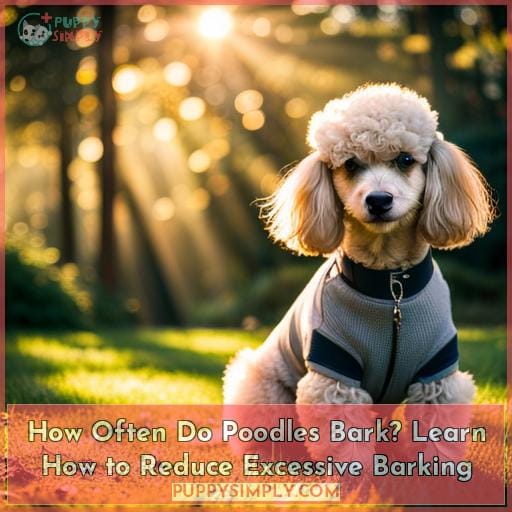 How Often Do Poodles Bark? Learn How to Reduce Excessive Barking