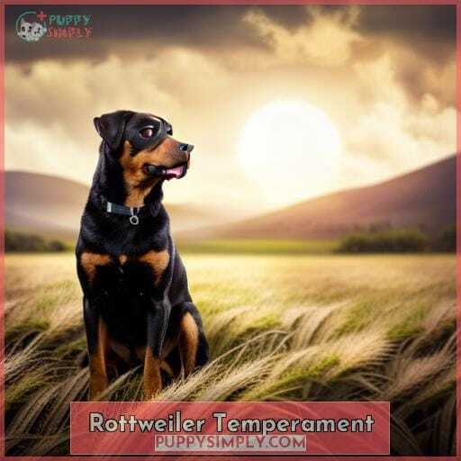 Rottweiler Temperament: Loyal and Protective Dog Breed, but Needs ...