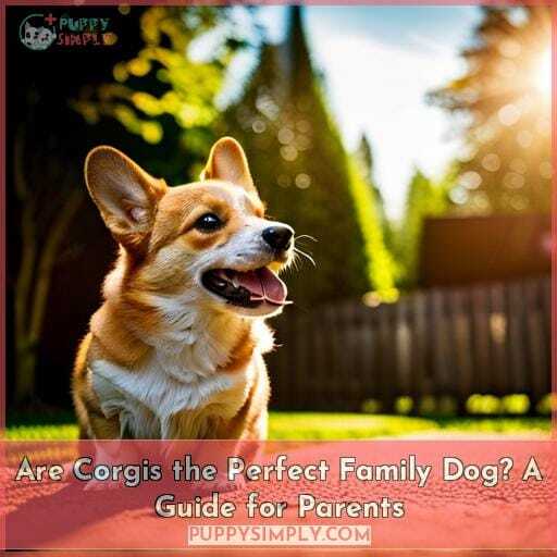 Are Corgis the Perfect Family Dog? A Guide for Parents