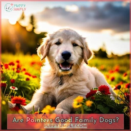 Do Pointers Shed? How to Manage Excessive Shedding in Pointers