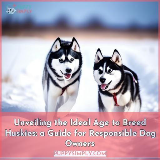 Unveiling the Ideal Age to Breed Huskies: A Guide for Responsible Dog ...