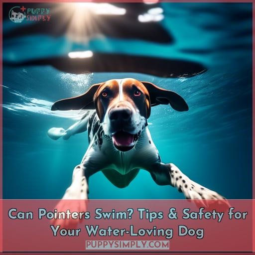 Can Pointers Swim? Tips & Safety for Your Water-Loving Dog