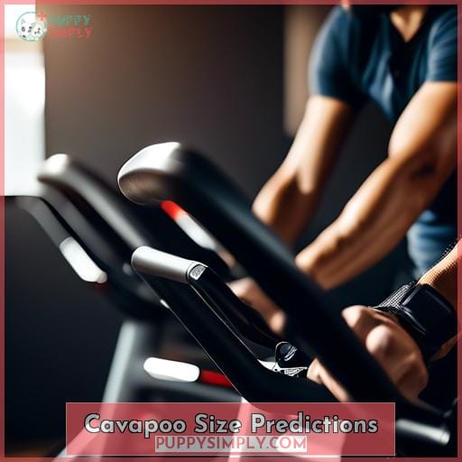 When Do Cavapoos Stop Growing? Guide to Full Size and Age