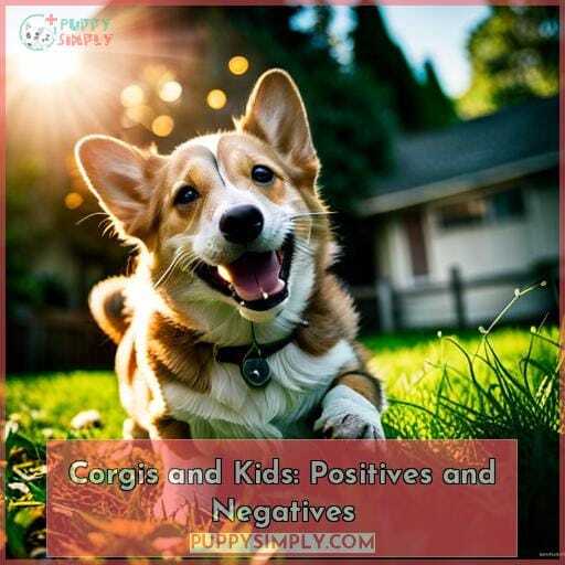 Are Corgis the Perfect Family Dog? A Guide for Parents