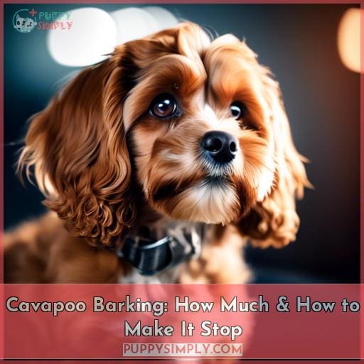 Cavapoo Barking: How Much & How to Make It Stop