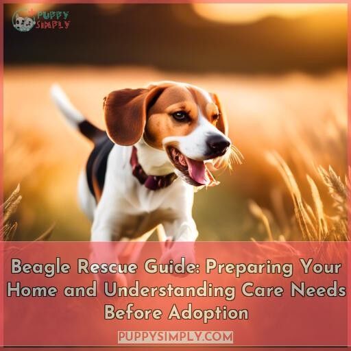 Beagle Rescue Guide: Preparing Your Home and Understanding Care Needs ...