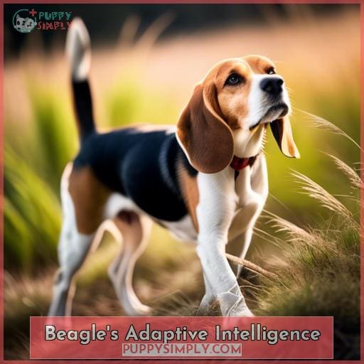 Are Beagles Really Dumb? Understanding Canine Intelligence