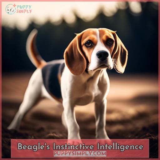 Are Beagles Really Dumb? Understanding Canine Intelligence
