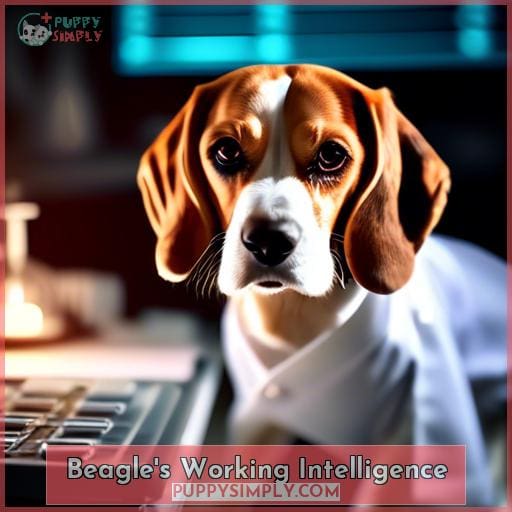 Are Beagles Really Dumb? Understanding Canine Intelligence