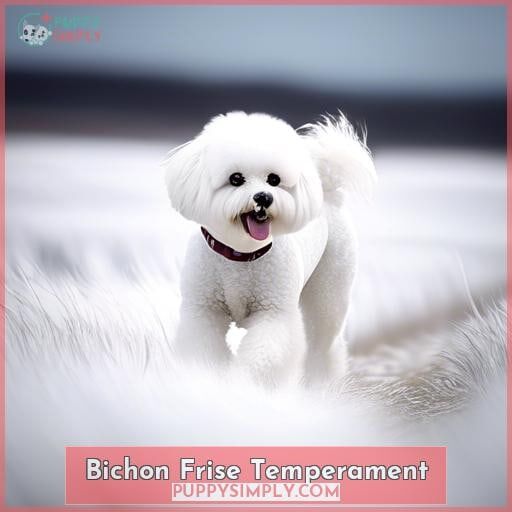 Do Bichon Frises Bite? Understanding Behavior & Training Tips