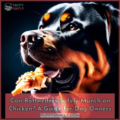 Can Rottweilers Safely Munch on Chicken? A Guide for Dog Owners