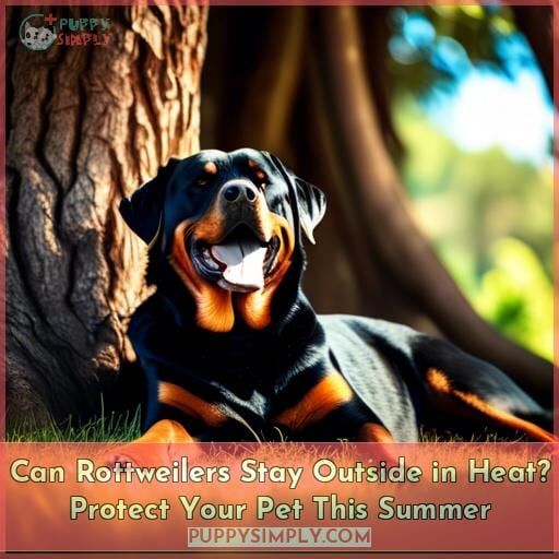 Can Rottweilers Stay Outside in Heat? Protect Your Pet This Summer