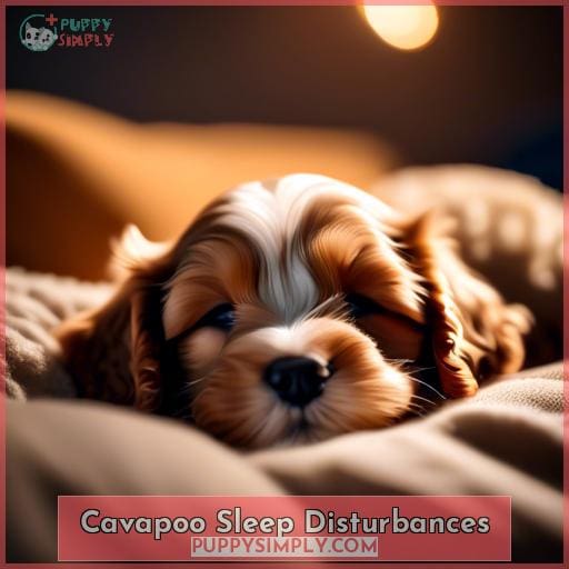 Uncover Cavapoo Puppies' Sleep Secrets: How Long and How Well