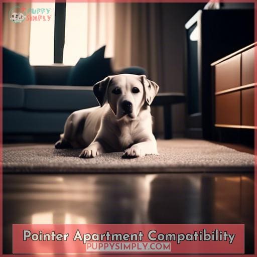 Can Pointers Thrive in Apartments? A Complete Guide for Happy Pups