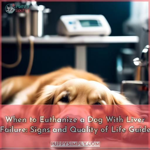 When to Euthanize a Dog With Liver Failure: Signs and Quality of Life Guide