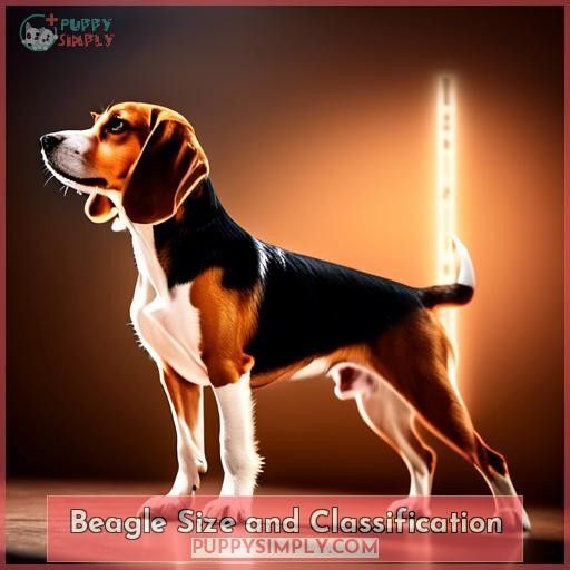 Beagle Size & Weight: How Big Do Beagles Grow & Beagle Mix Details