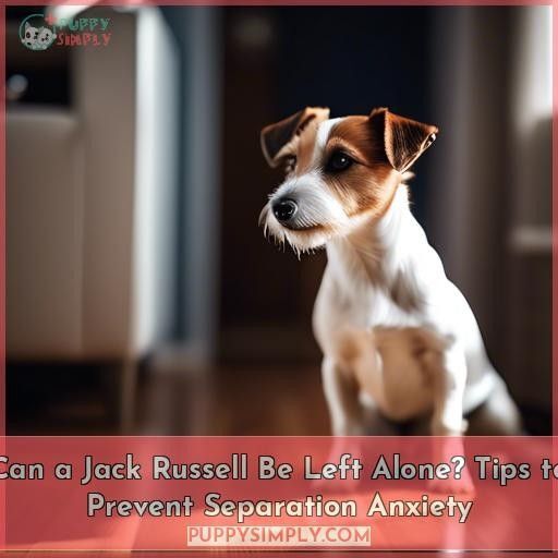 Can a Jack Russell Be Left Alone? Tips to Prevent Separation Anxiety