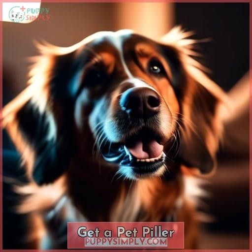 How to Give a Dog a Pill: Easy Tips for Stubborn Pups