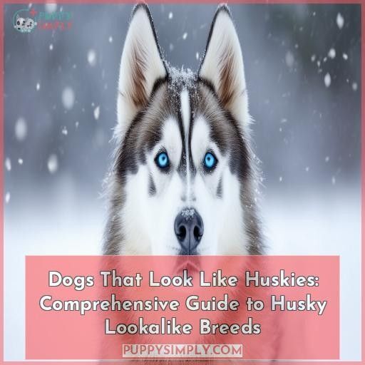 Dogs That Look Like Huskies: Comprehensive Guide to Husky Lookalike Breeds