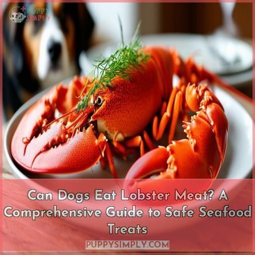 Can Dogs Eat Lobster Meat? A Comprehensive Guide to Safe Seafood Treats