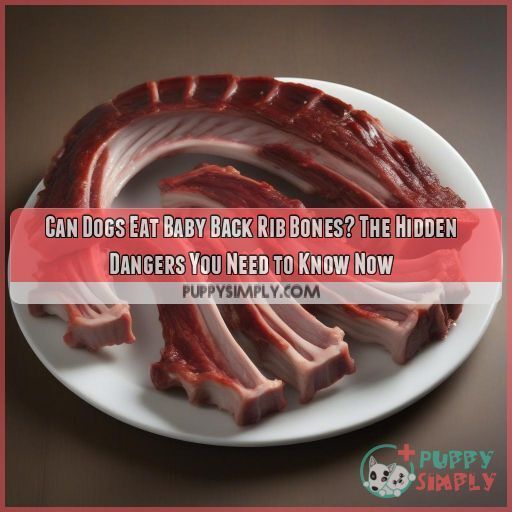 Can Dogs Eat Baby Back Rib Bones? The Hidden Dangers You Need to Know Now