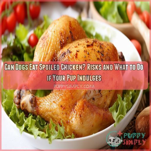 Can Dogs Eat Spoiled Chicken? Risks and What to Do if Your Pup Indulges