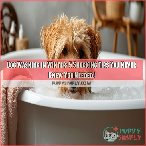 Dog Washing in Winter: 5 Shocking Tips You Never Knew You Needed!
