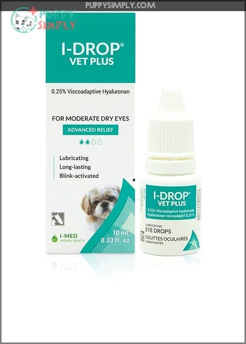 Best Eye Drops for Dogs: Top 6 Vet-Approved Picks for Healthy Eyes 2025