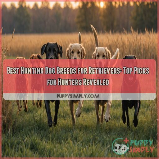 Best Hunting Dog Breeds for Retrievers: Top Picks for Hunters Revealed