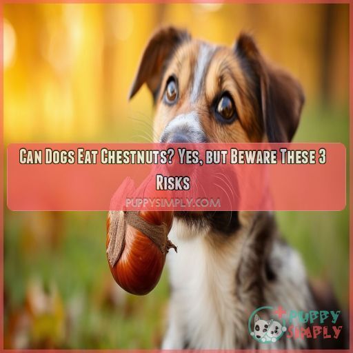 Can Dogs Eat Chestnuts? Yes, but Beware These 3 Risks