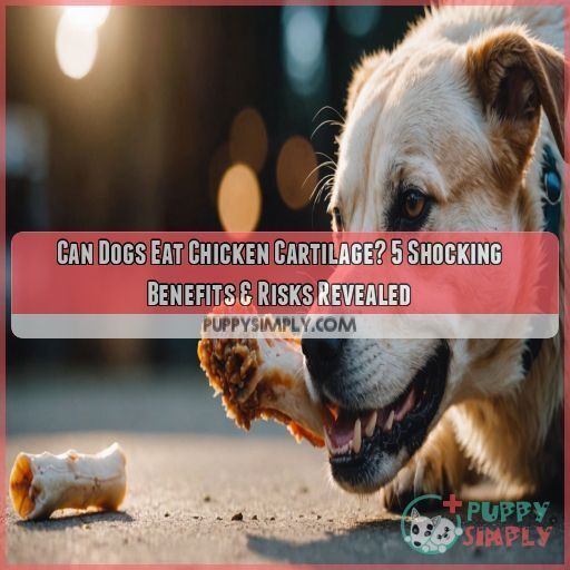 Can Dogs Eat Chicken Cartilage? 5 Shocking Benefits & Risks Revealed