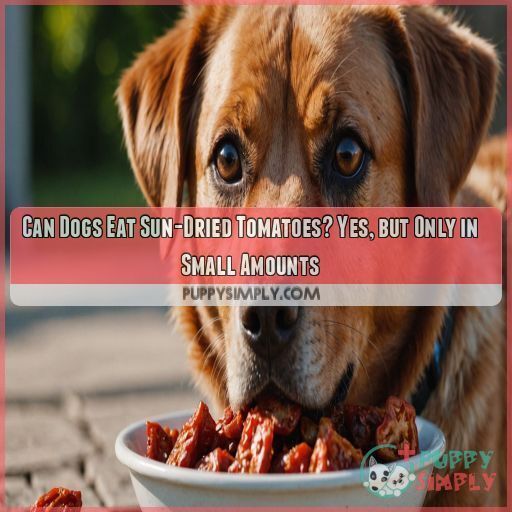 Can Dogs Eat Sun-Dried Tomatoes? Yes, but Only in Small Amounts