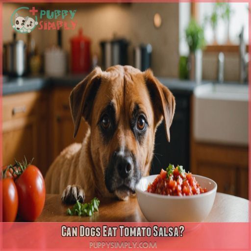 Can Dogs Eat Salsa? The Shocking Truth About This Spicy Snack!