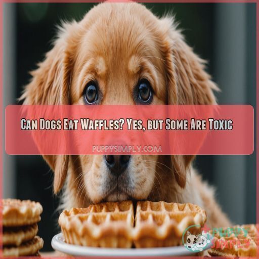 Can Dogs Eat Waffles? Yes, but Some Are Toxic
